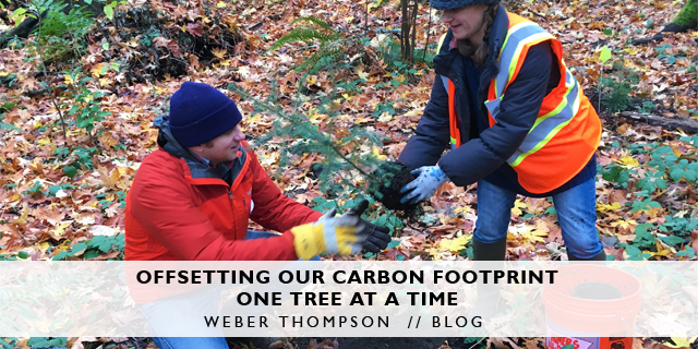 Offsetting our carbon footprint one tree at a time | Weber Thompson