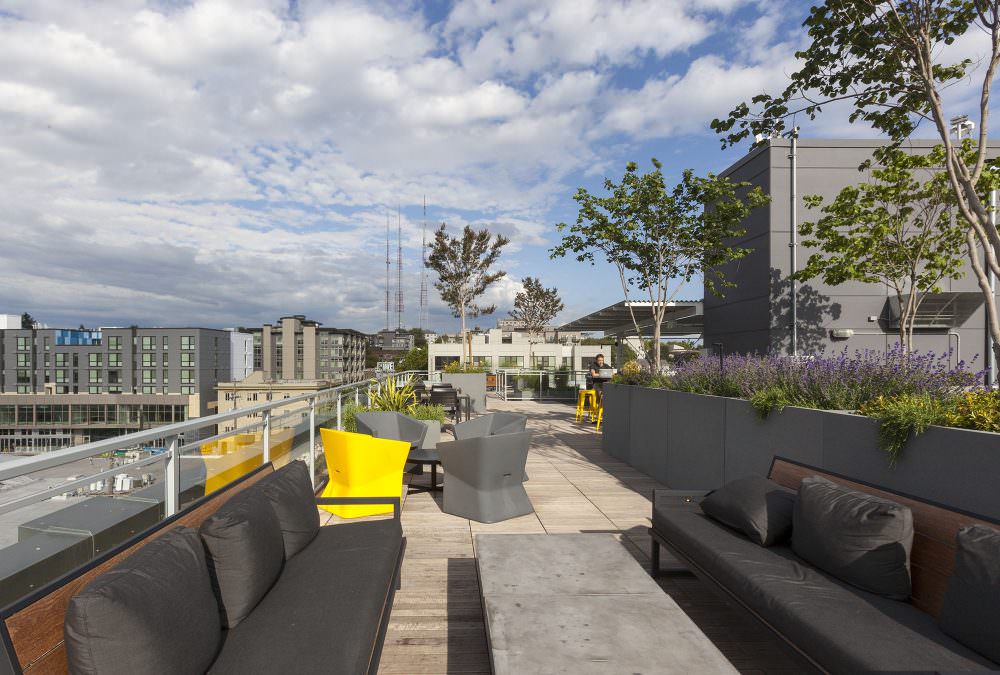 Sunset Electric | Weber Thompson