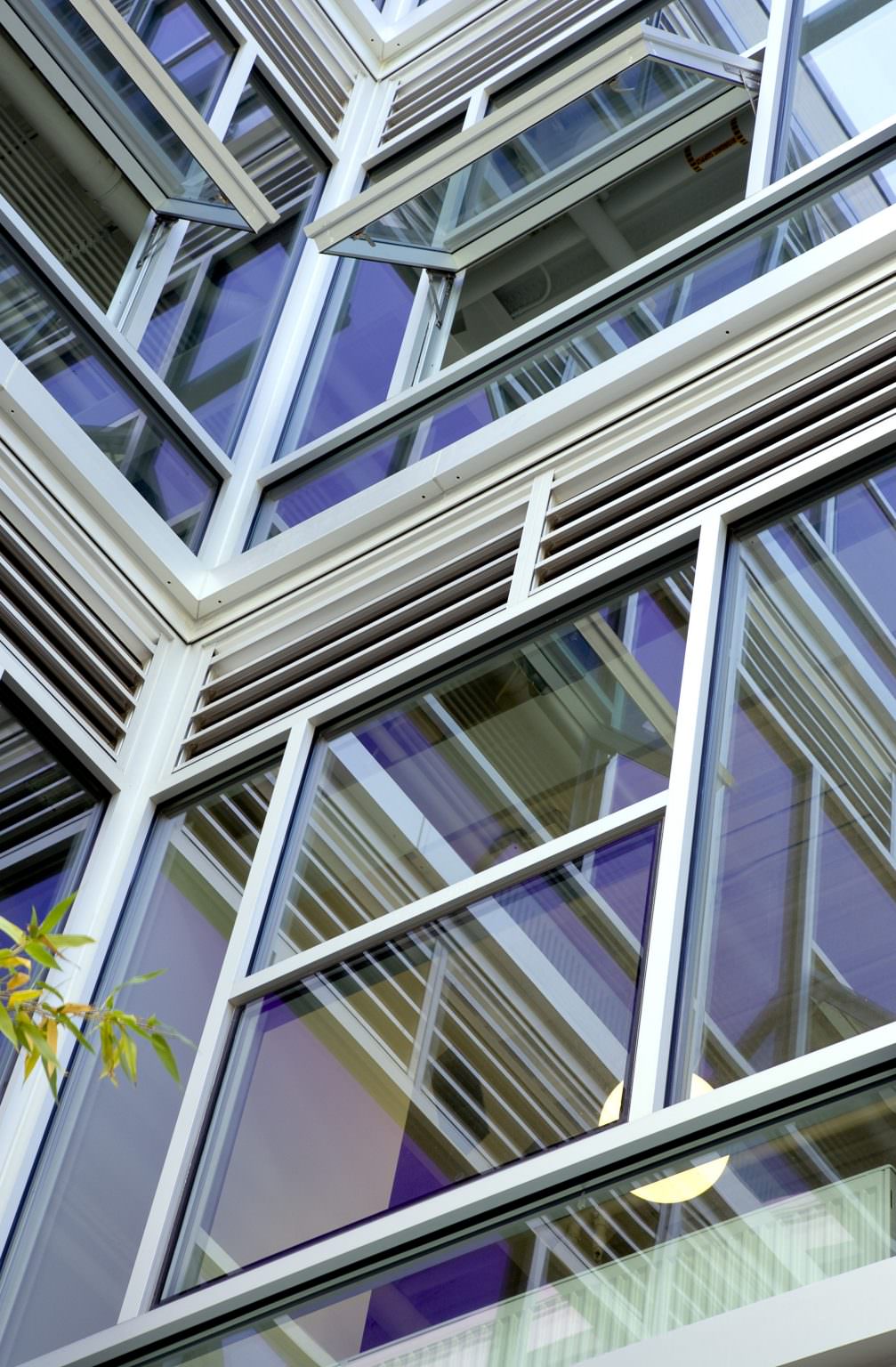 The Terry Thomas | Weber Thompson