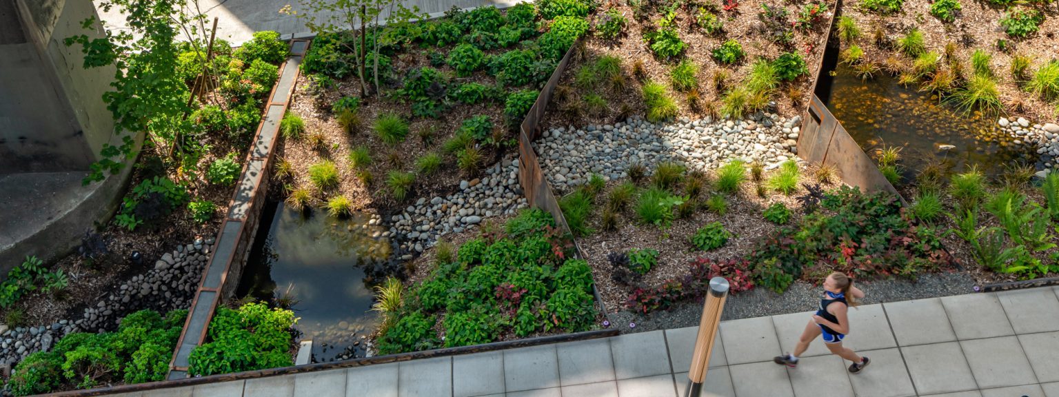 Watershed | Weber Thompson