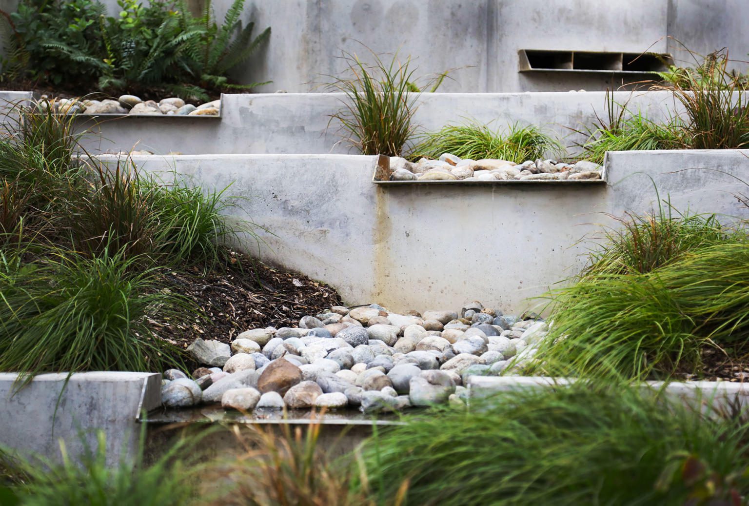 Aurora Bridge Swales | Weber Thompson