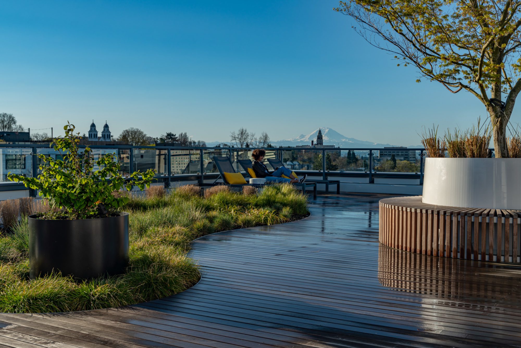 Solis | Weber Thompson