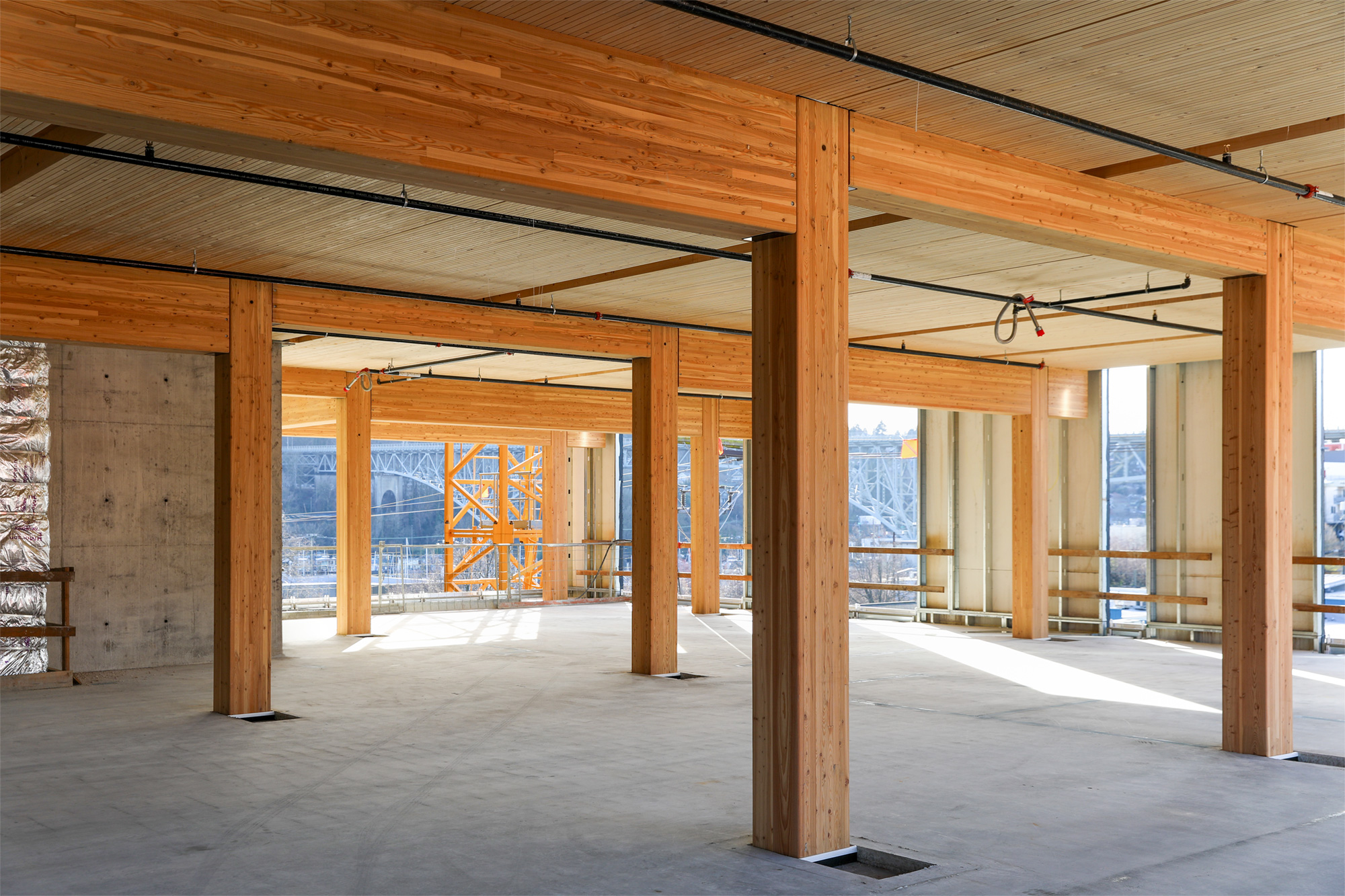 Mass Timber | Weber Thompson
