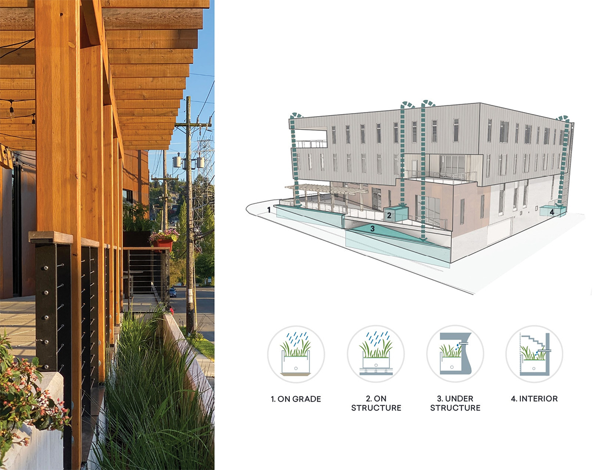 Fremont Framework: Cedar Speedster | Weber Thompson